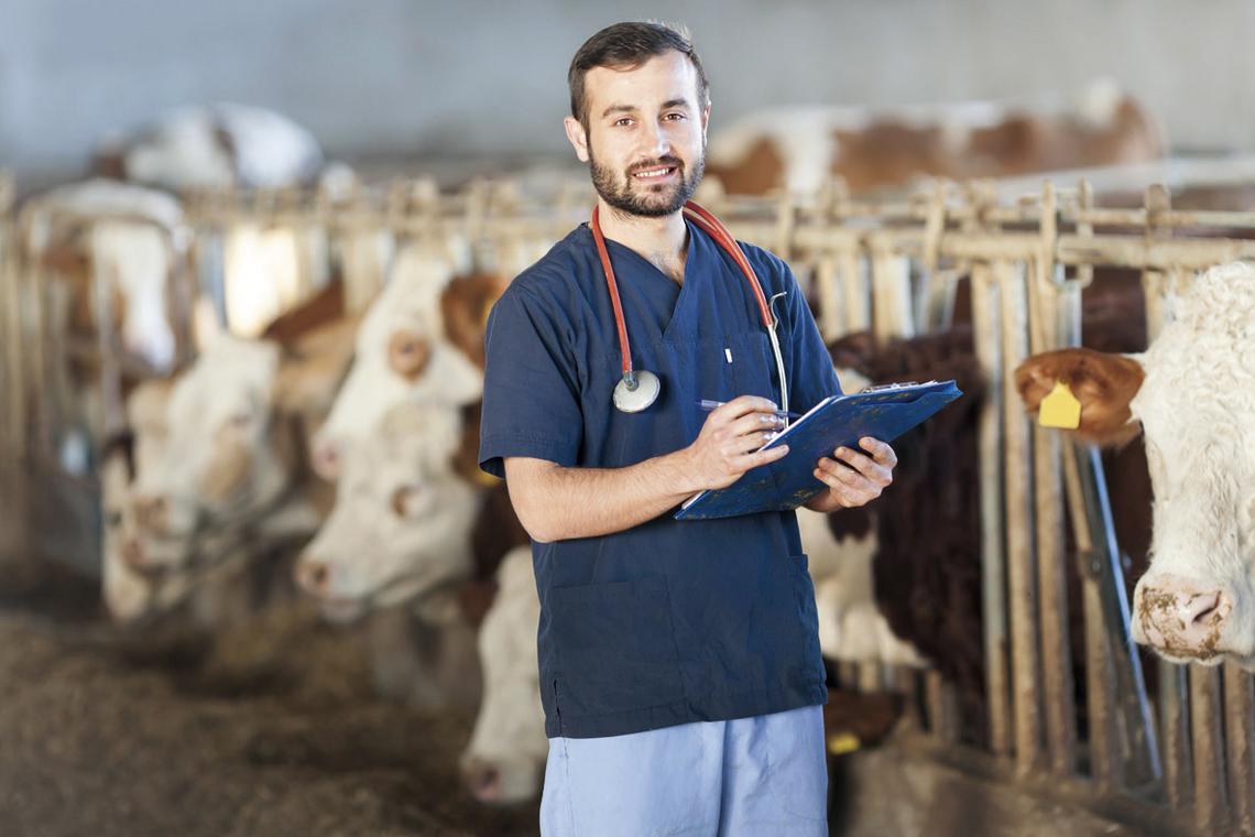 SVHA ACADEMY Informationen | SVHA